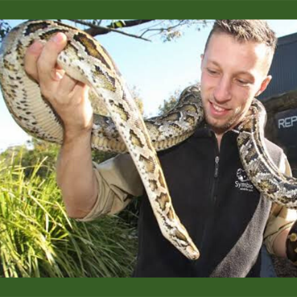 How to Stay Safe Around Snakes This Summer - Hope 103.2