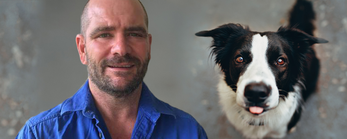Lifting The Lid on Being a Vet: What All Pet Owners Should Know [Audio ...