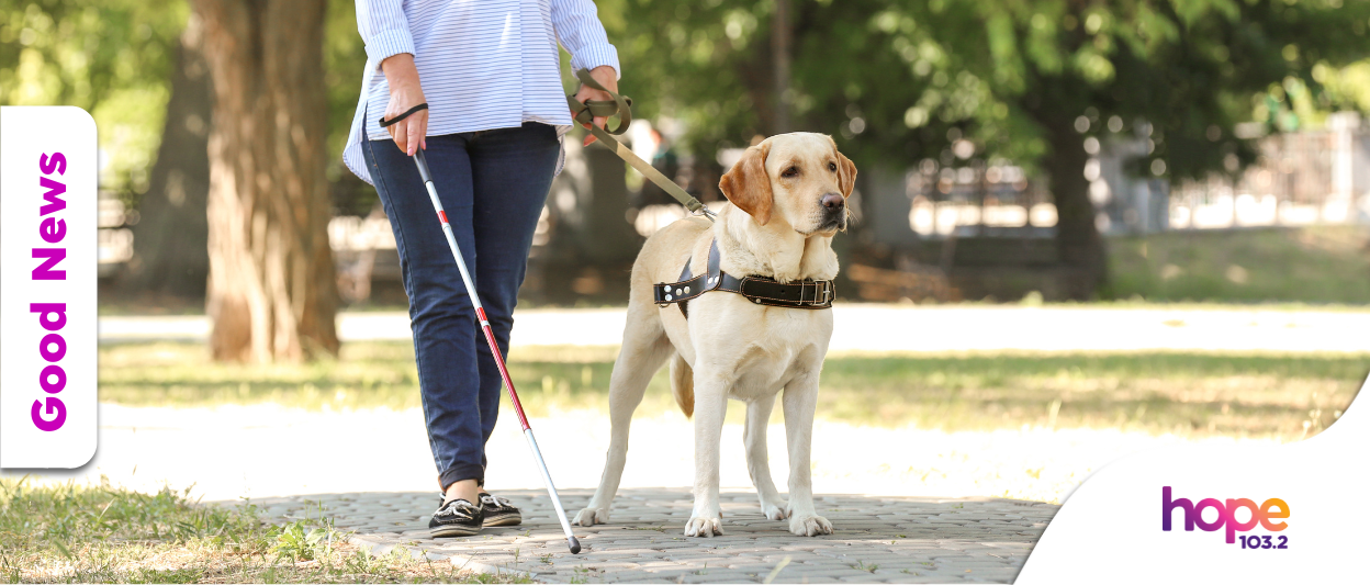 Unleashing Freedom: How Seeing Eye Dogs Transform Lives - Hope 103.2